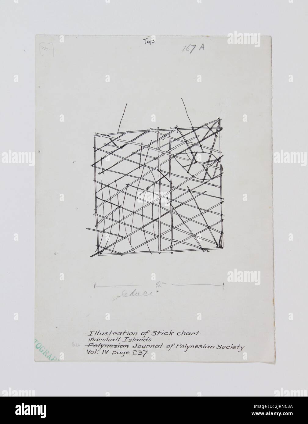 Illustration of stick chart, Marshall Islands, c1920, by Ethel ...