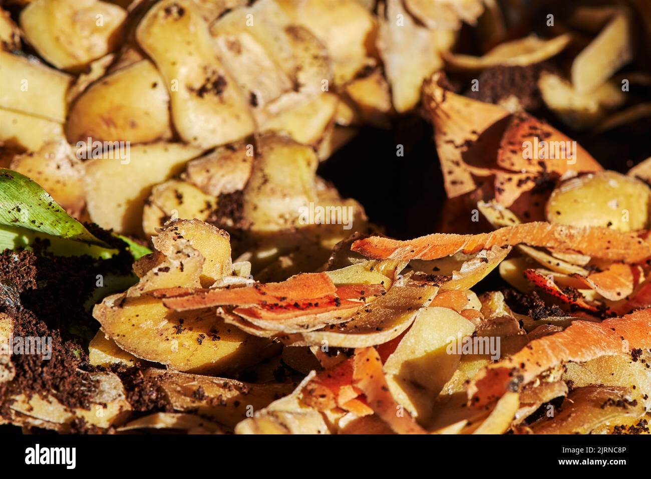 View into a bio container with various organic wastes for recycling ...