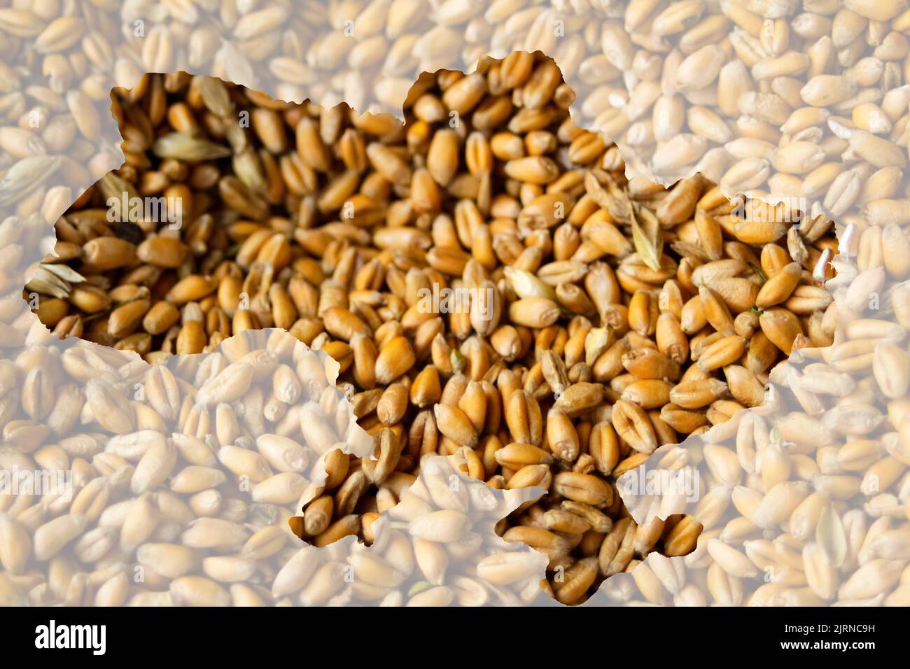 Defocus food crisis. Ukraine map. Global and European grain and wheat ...