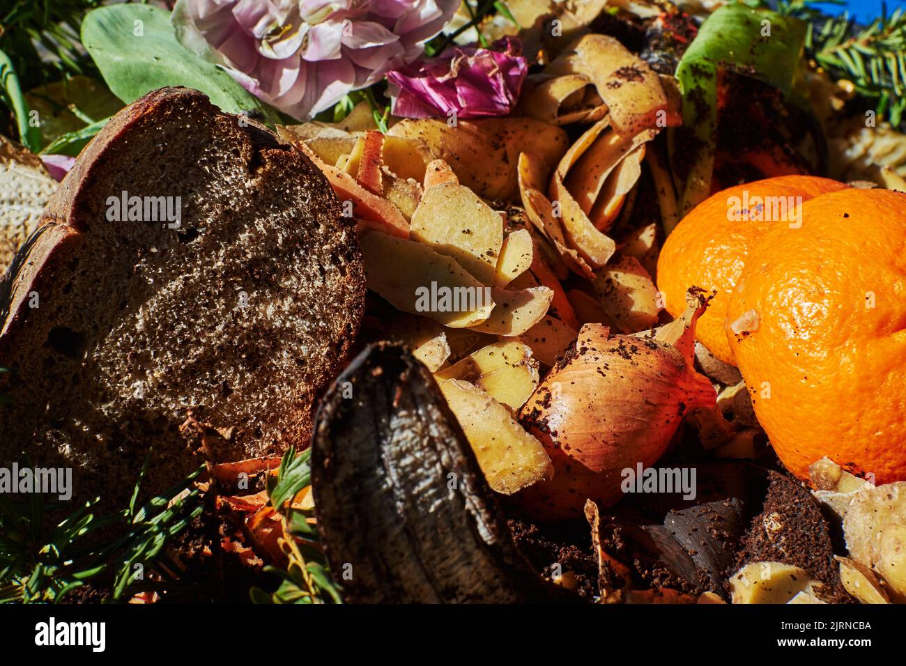 View into a bio container with various organic wastes for recycling ...