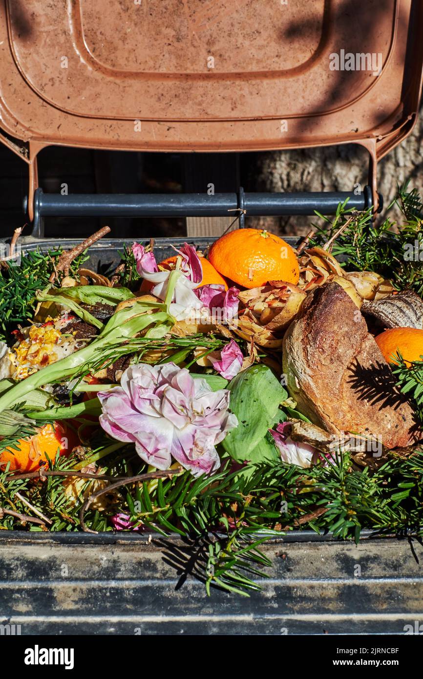 View into a bio container with various organic wastes for recycling ...