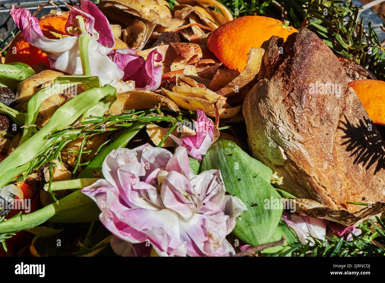 View into a bio container with various organic wastes for recycling ...