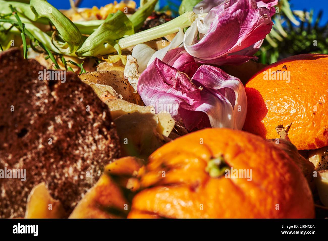 View into a bio container with various organic wastes for recycling ...