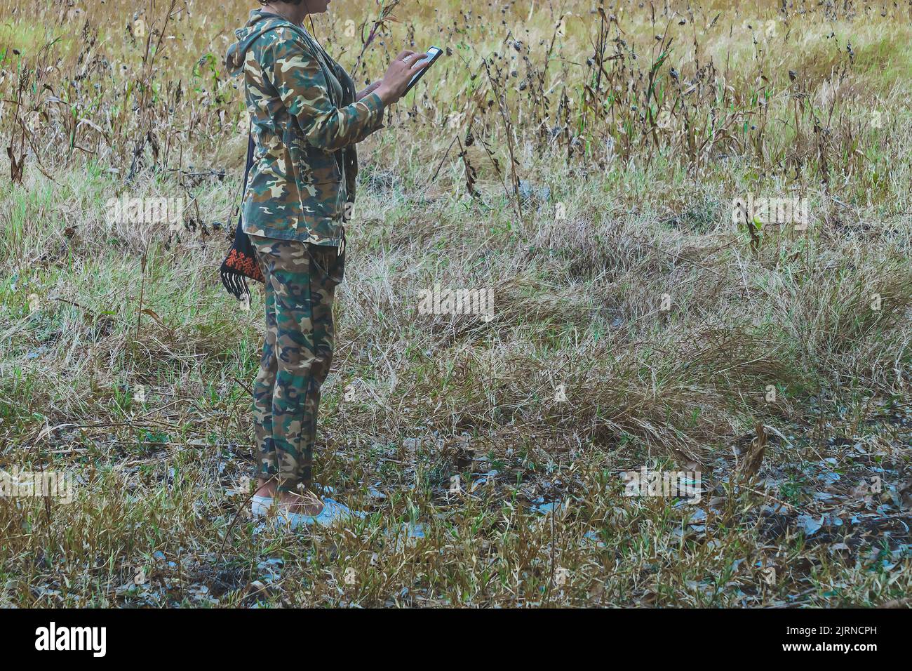 Female forest ranger in uniform uses cell phone to monitor the ...