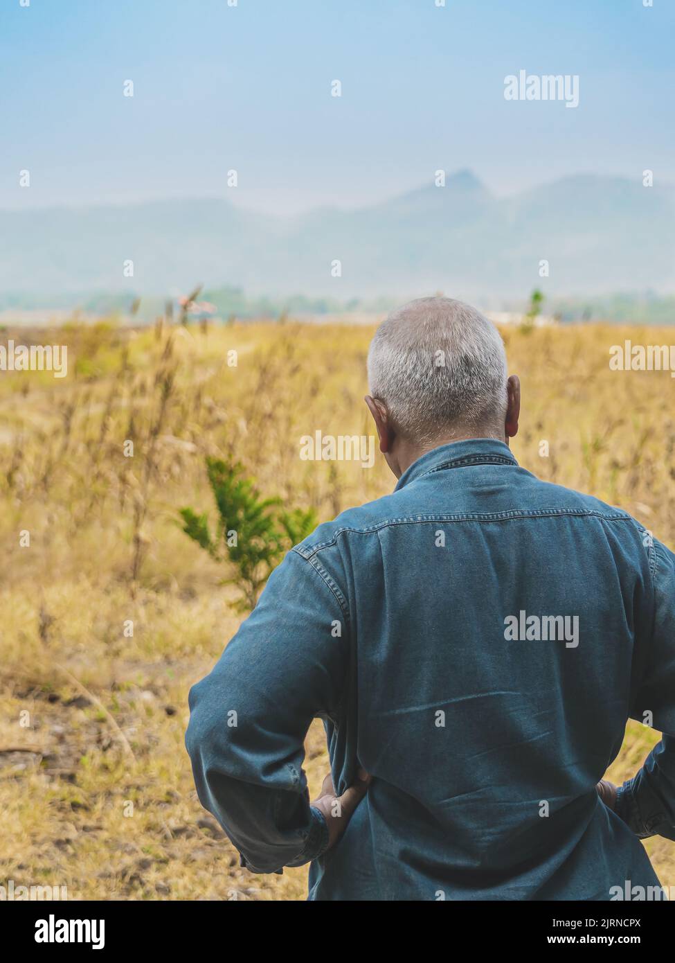 Back view of elderly man farmer stand with arms akimbo to look soil ...