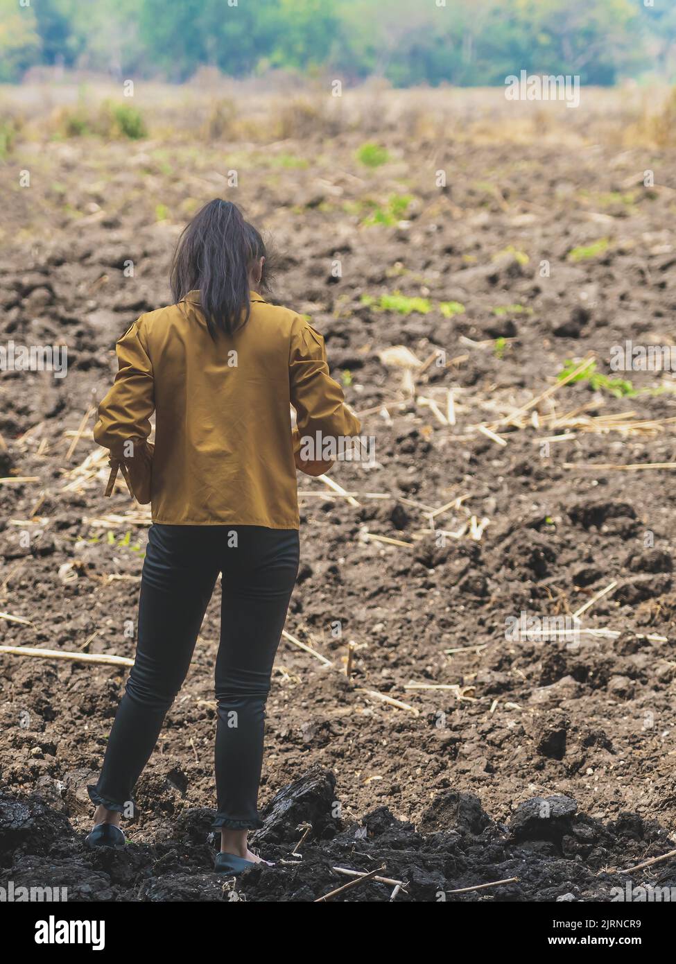 Back view of Asian young woman farmer stand alone to look soil quality ...