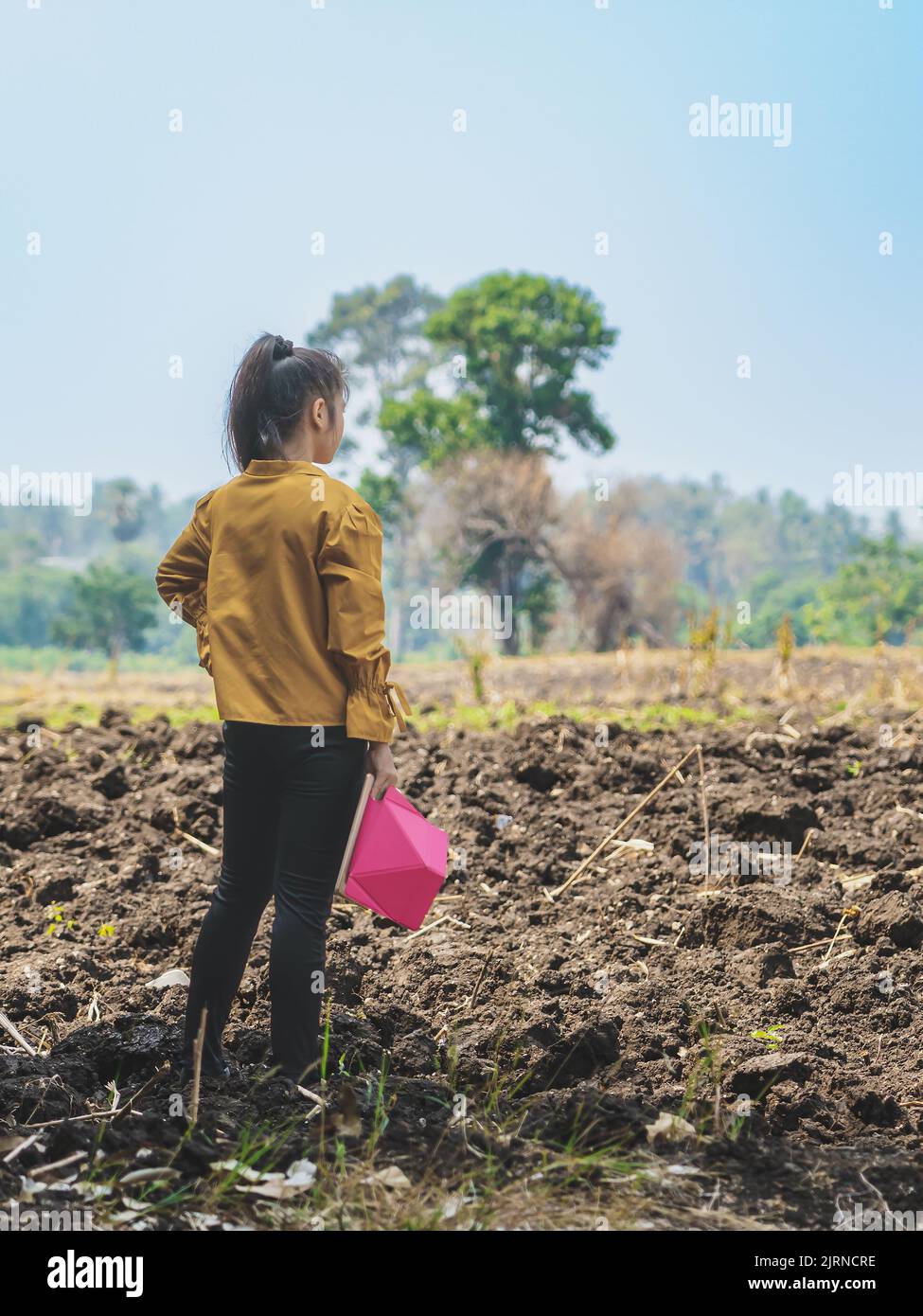 Back view of Asian young woman farmer stand alone with tablet to look ...