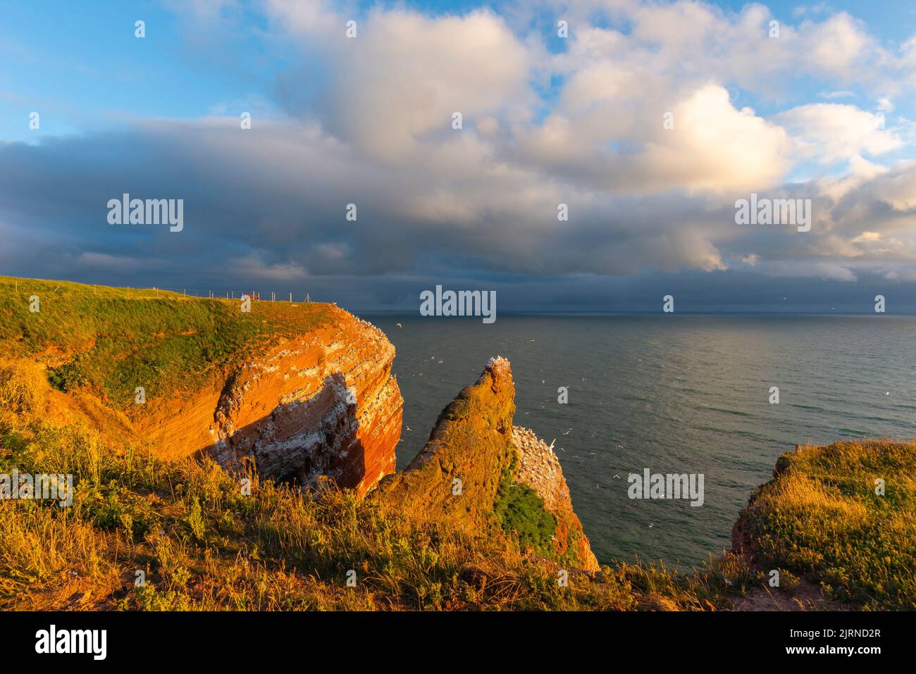 Red sandstone cliff on the high seas island Heligoland, North Sea ...