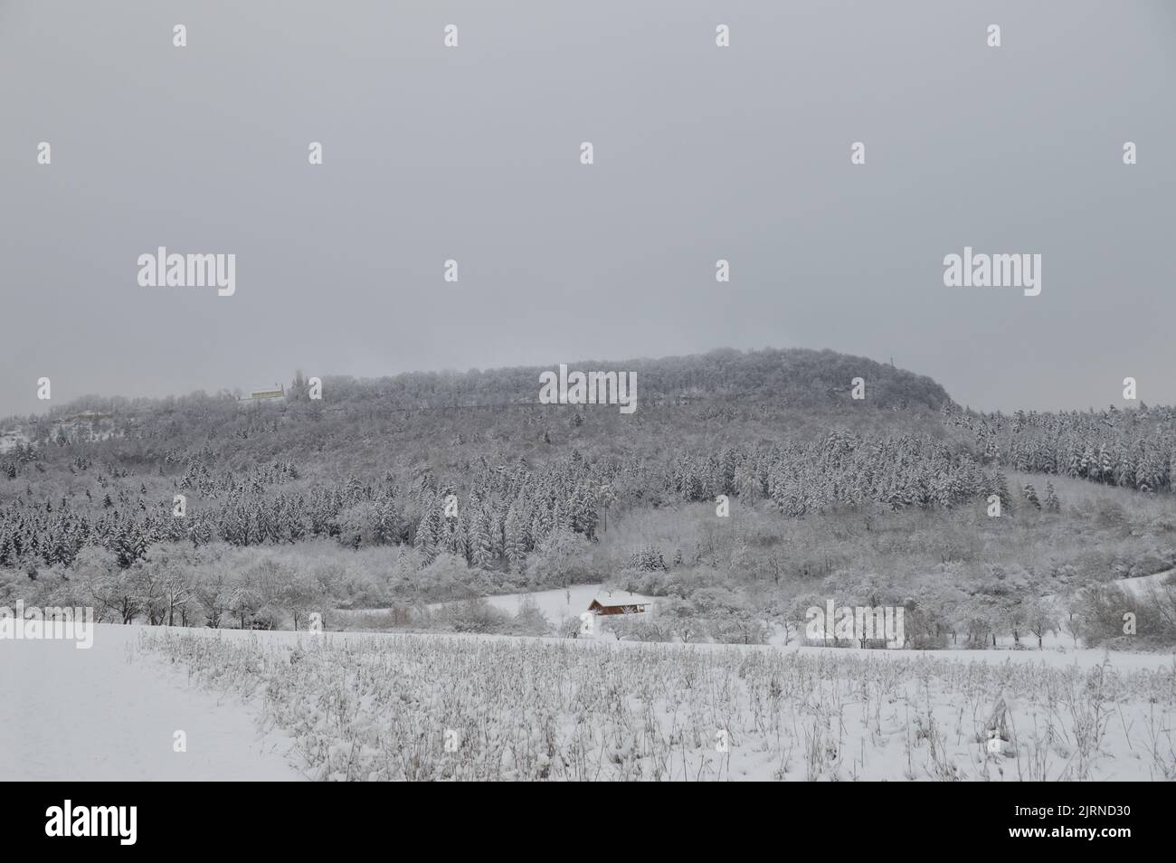 Spaichingen hi-res stock photography and images - Alamy