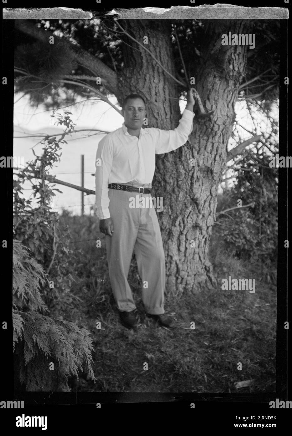 Portrait of a man, Bay of Plenty, by J.W. Chapman-Taylor Stock Photo ...