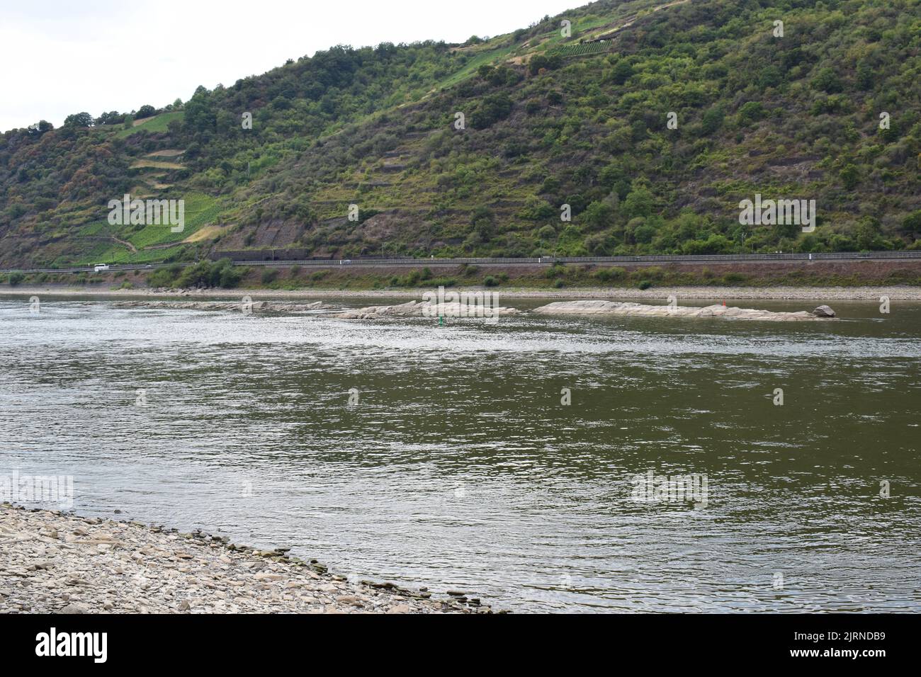 Rhine reef hi-res stock photography and images - Alamy