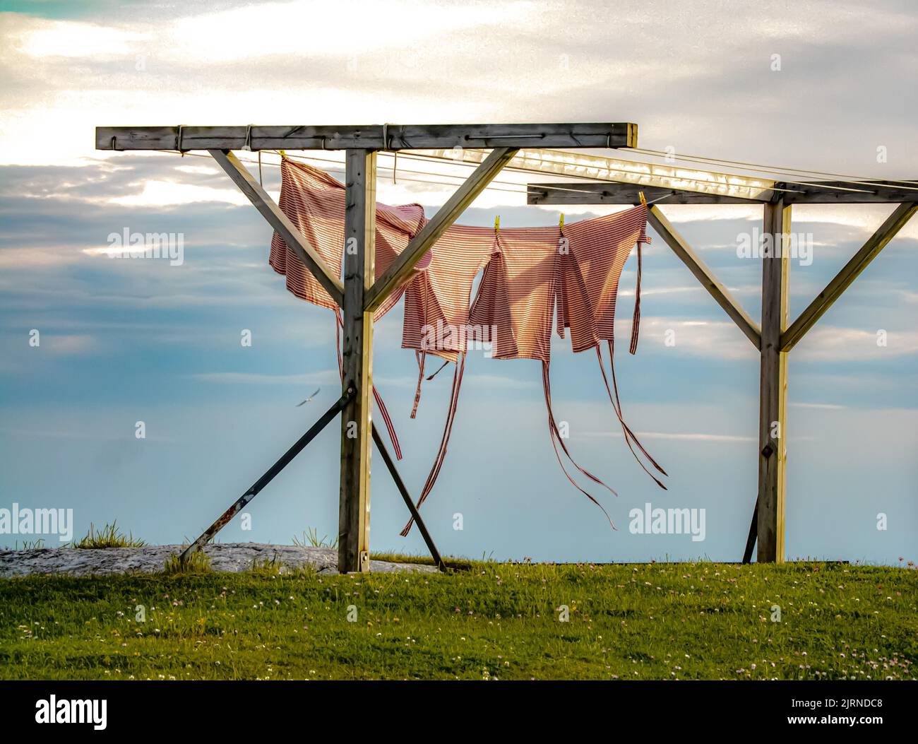 An apron laundry hanging in a green meadow Stock Photo - Alamy