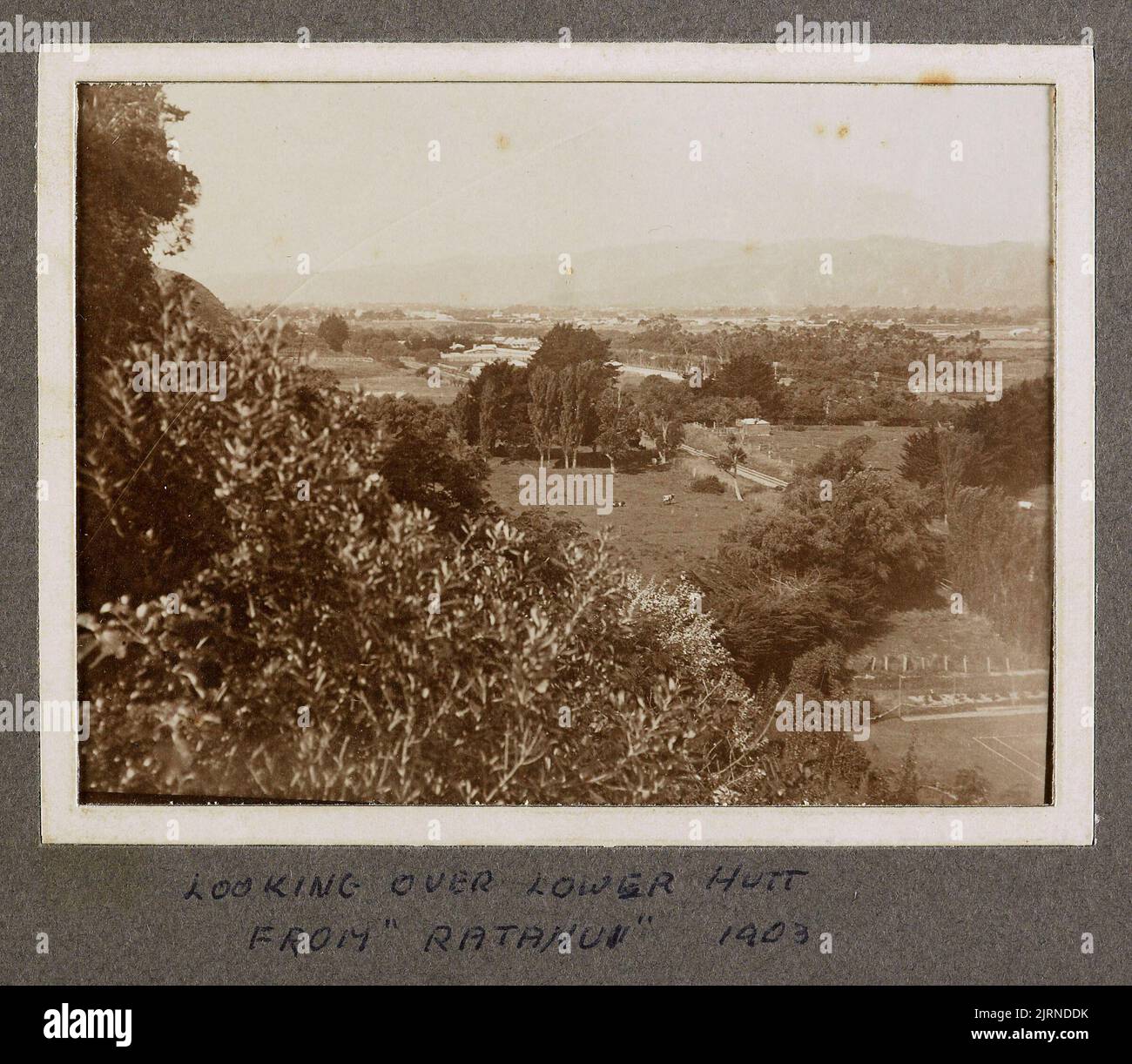 Ratanui hi-res stock photography and images - Alamy