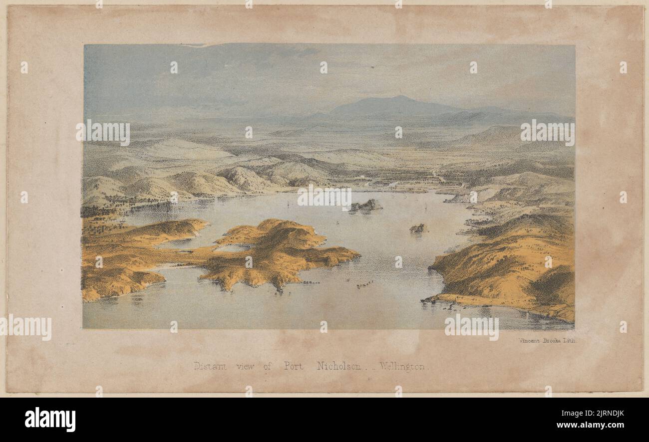 Distant view of Port Nicholson, Wellington, 1857, by Vincent Brooks ...