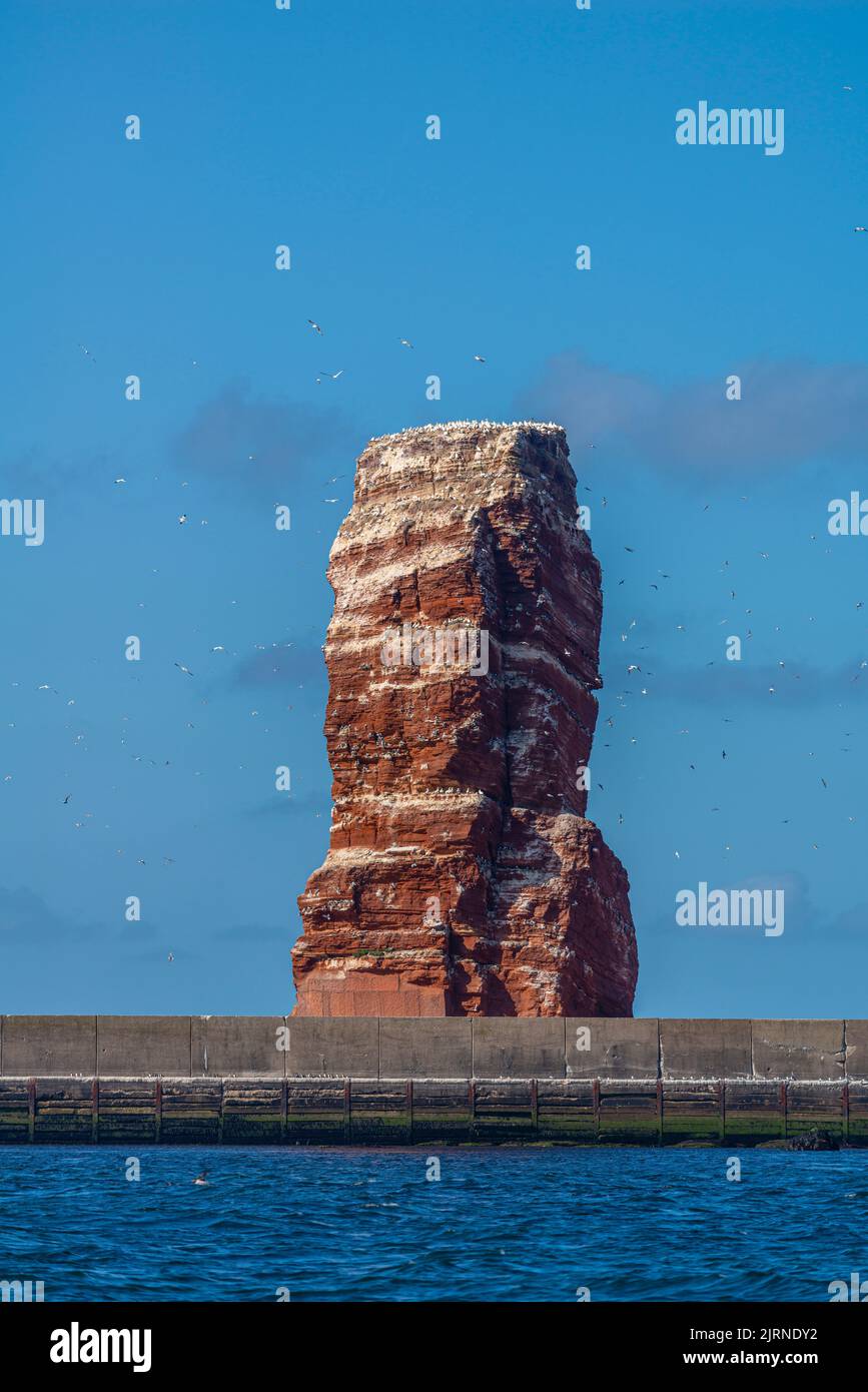 Red sandstone cliff on the high seas island Heligoland, North Sea ...