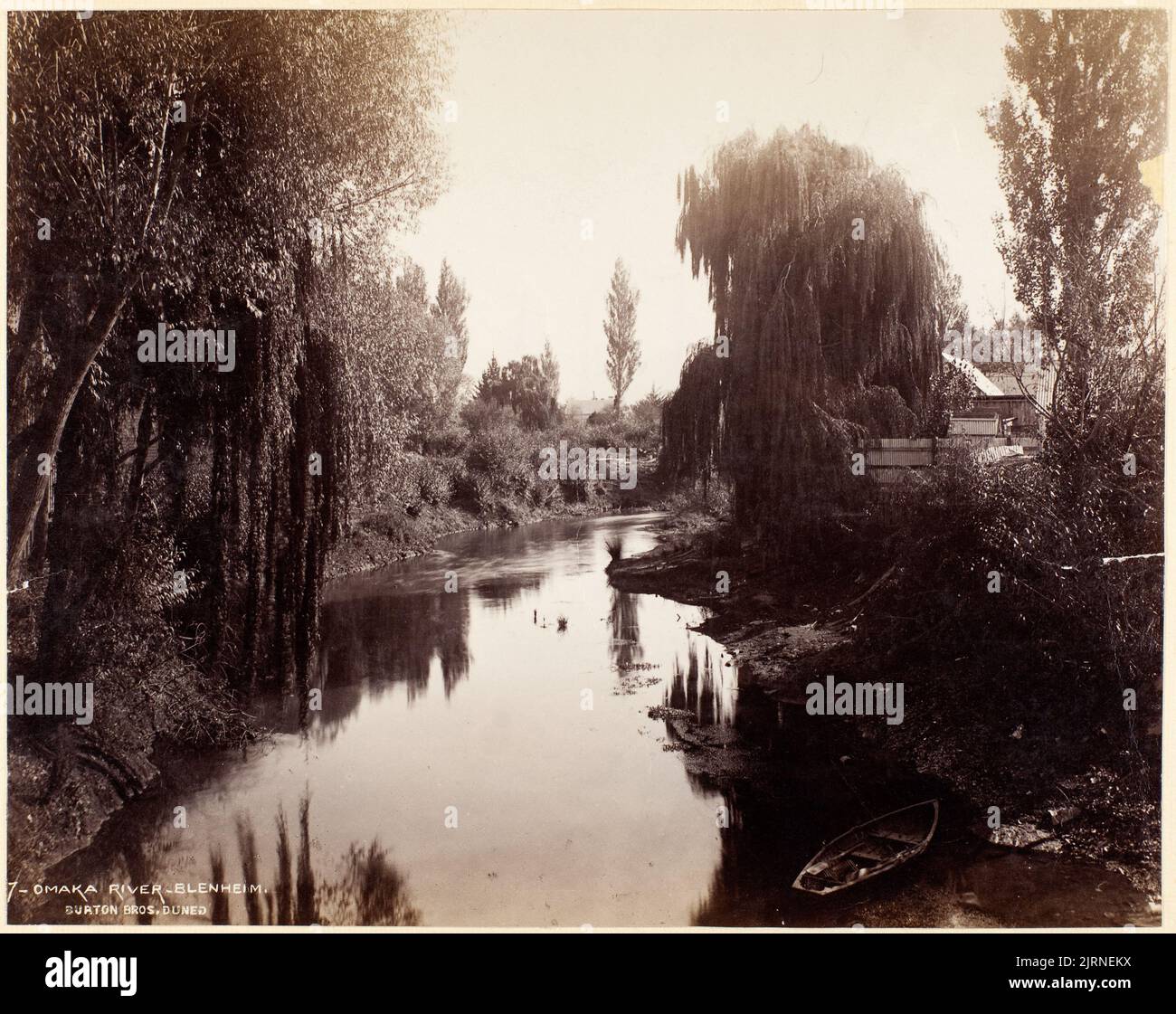 Blenheim omaka river hi-res stock photography and images - Alamy