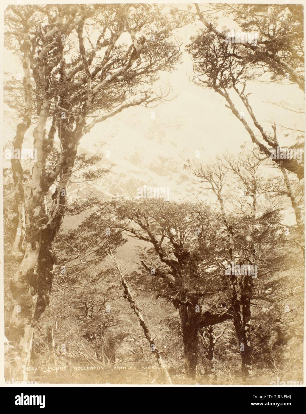 Arthurs pass mount rolleston hi-res stock photography and images - Alamy