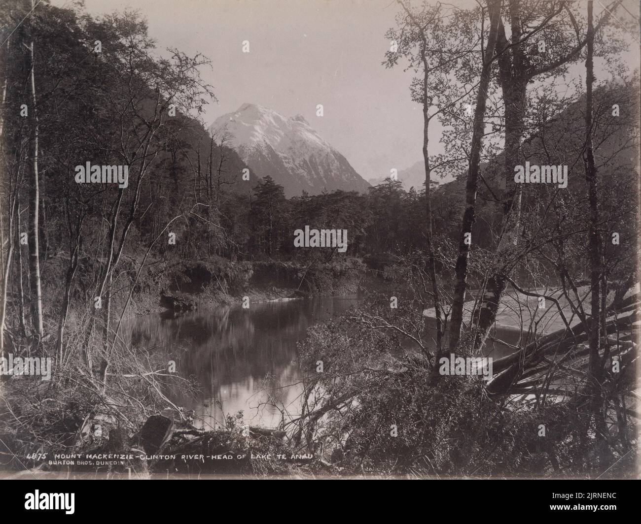 Mount Mackenzie - Clinton River - Head of Lake Te Anau, 1889, Dunedin ...