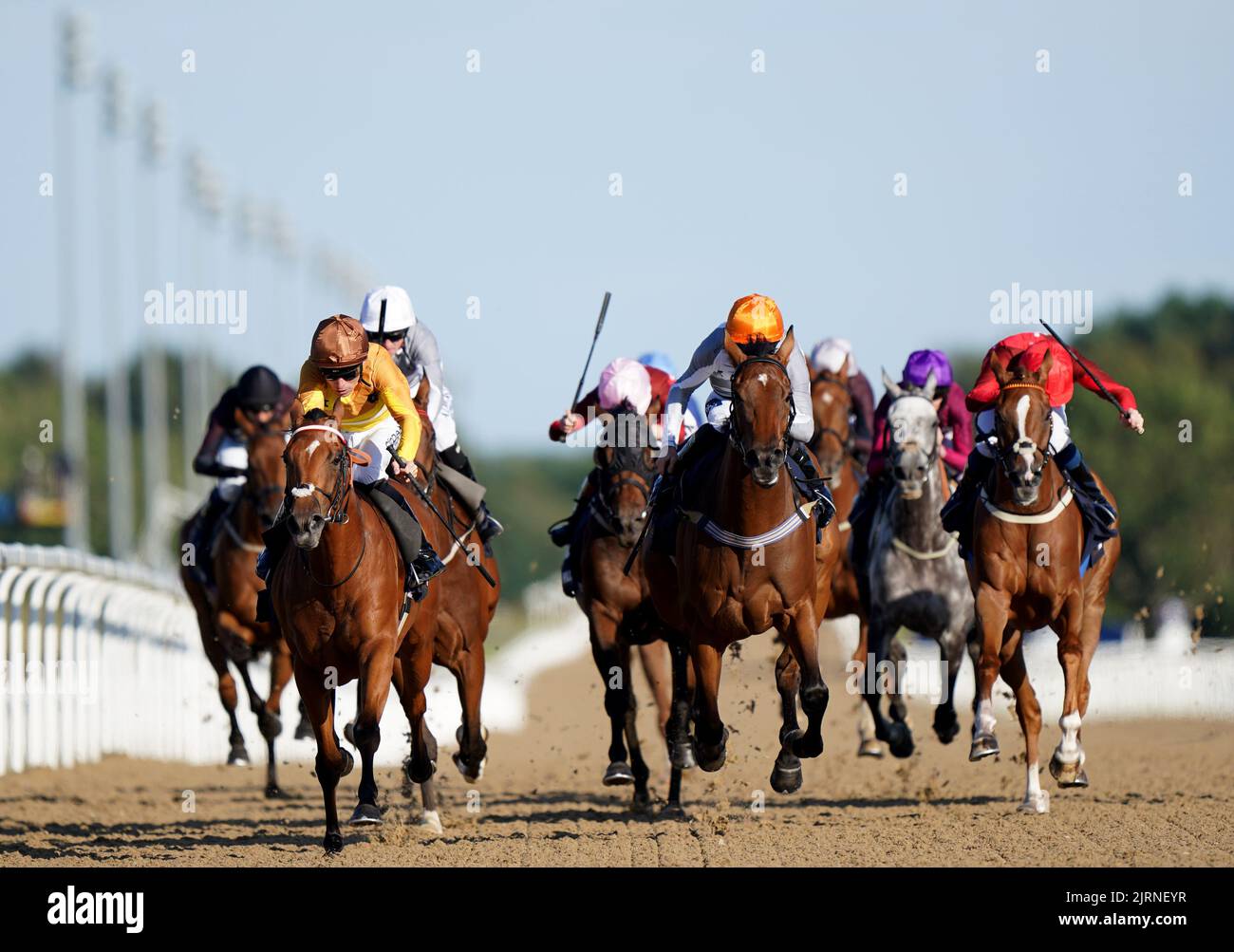 William wynter hi-res stock photography and images - Alamy