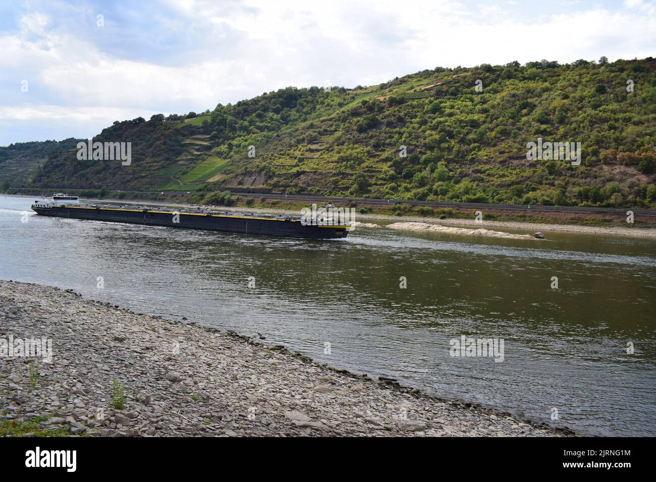 cargo ship going through low water Rhine in summer Stock Photo - Alamy