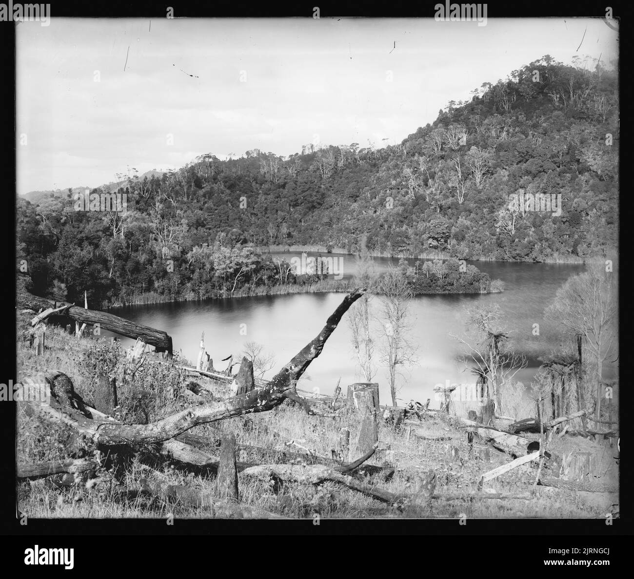 River scene, circa 1878, Manawat, by James Bragge Stock Photo - Alamy