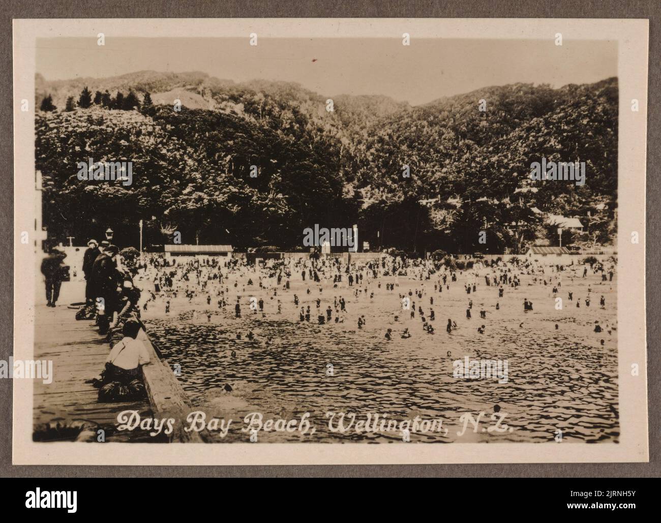 Days Bay Beach, Wellington, New Zealand. From the album: Snaps, circa ...
