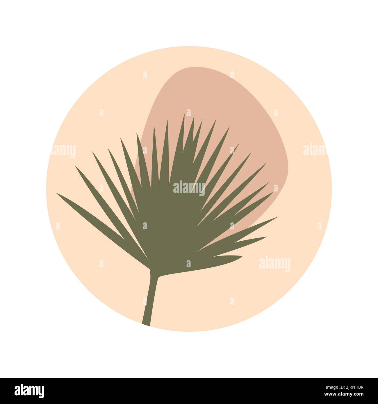 Trendy backgrounds. Flower contemporary round stories. Vector ...