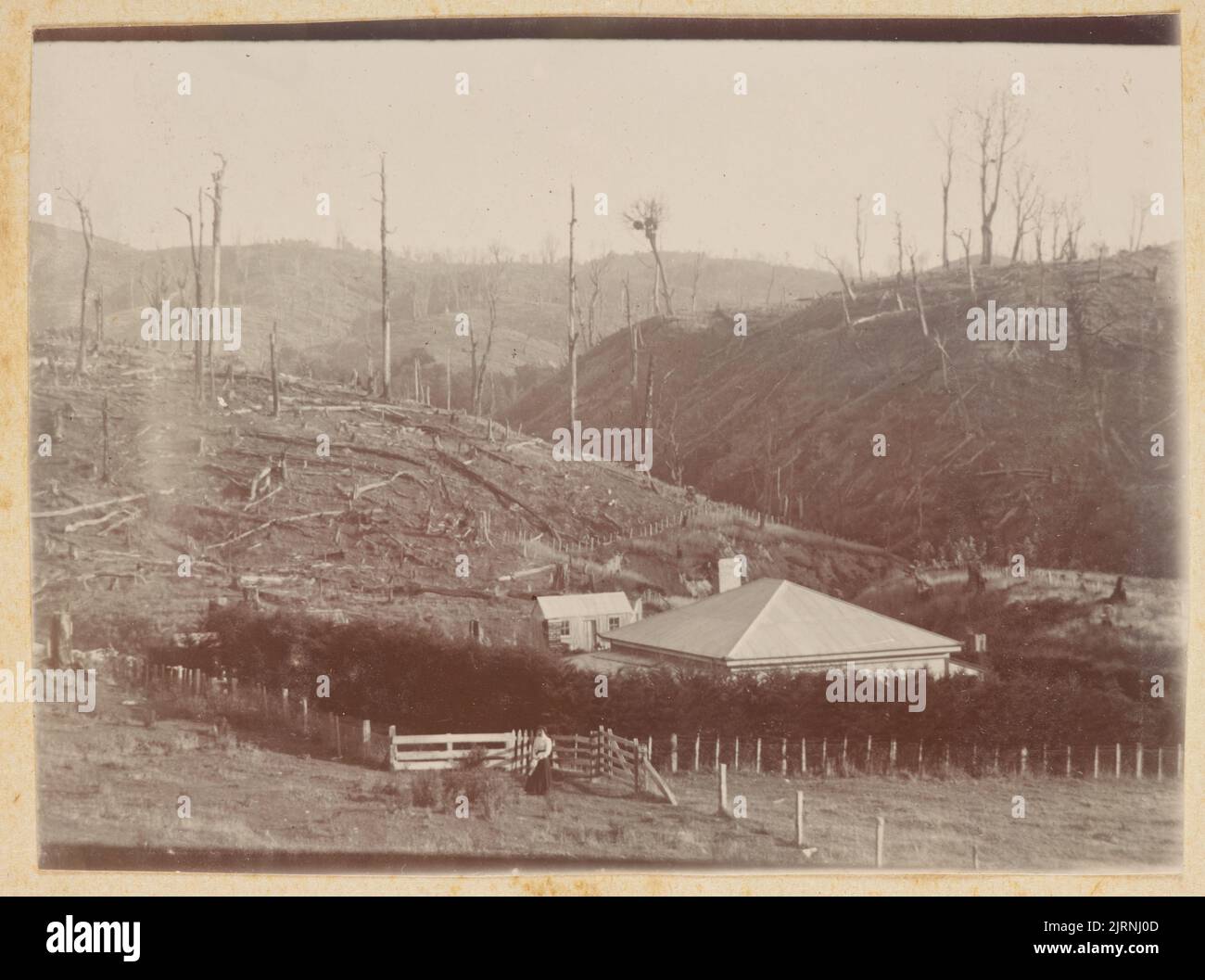 Taumata. From the album: Snapshot album - Nga Mahanga, circa 1900 ...