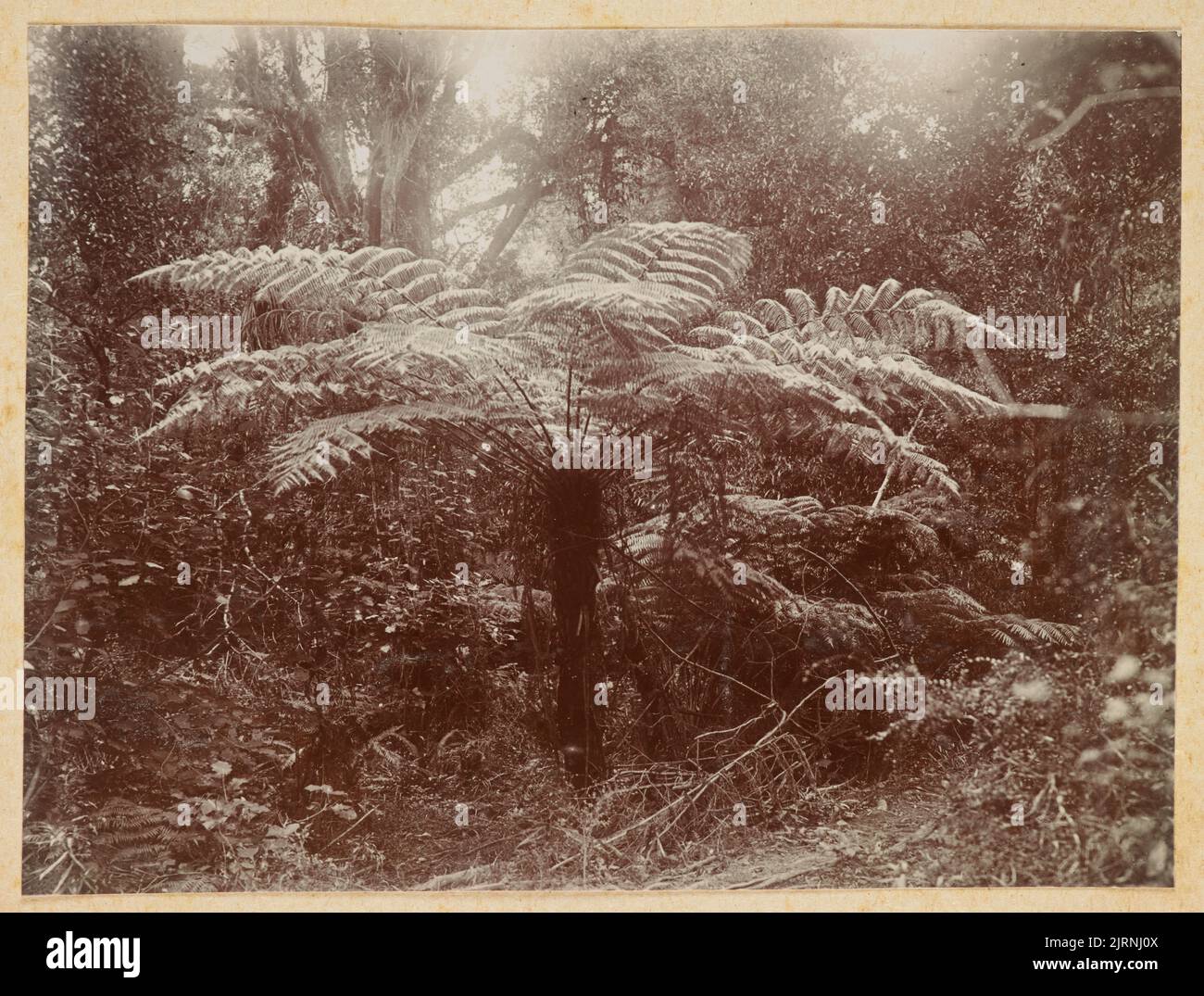 Snapshot album nga mahanga f hi-res stock photography and images - Alamy