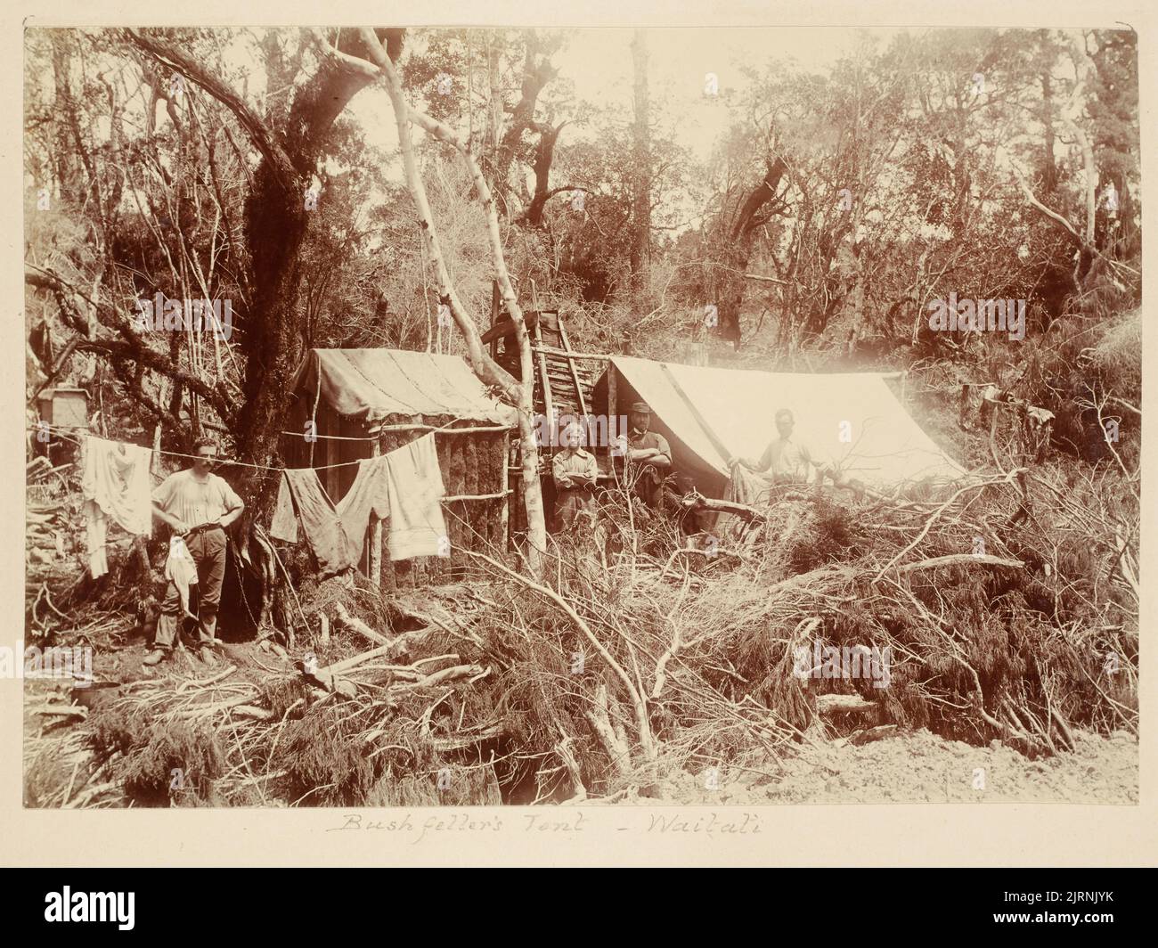 Waitati from the album hi-res stock photography and images - Alamy