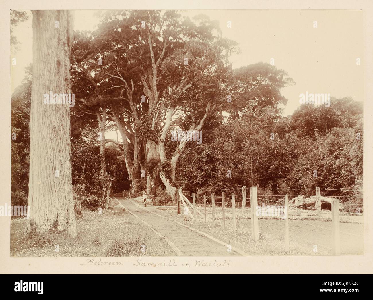 Waitati from the album hi-res stock photography and images - Alamy