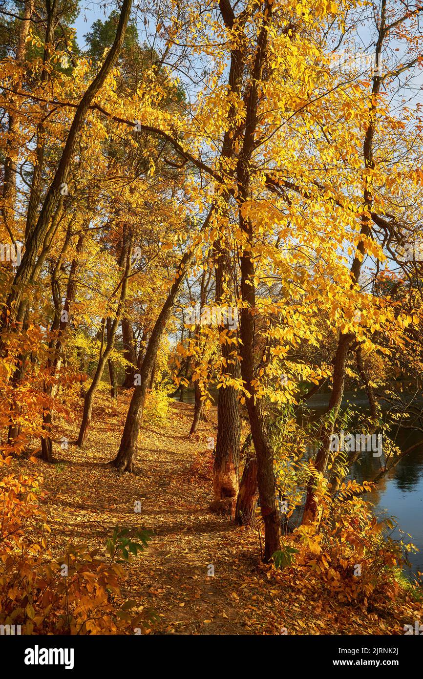 Park heidelberg autumn fall hi-res stock photography and images - Alamy