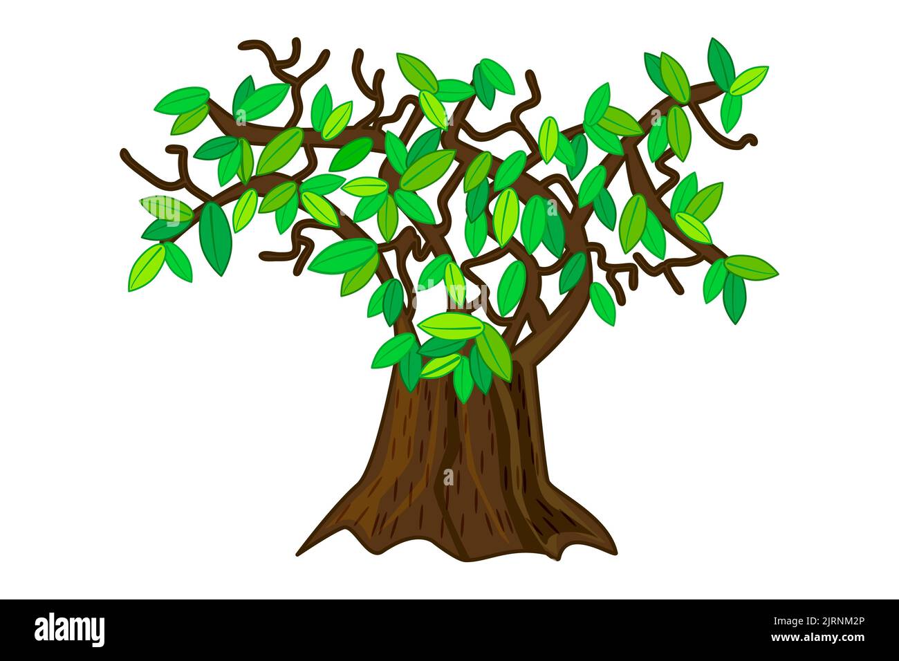 Large green crown tropical Stock Vector Images - Alamy