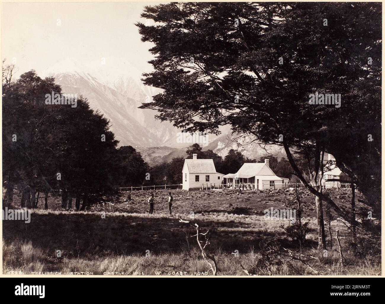 Trelissick Station, Castle Hill, West Coast Road, early 1880s, Dunedin ...