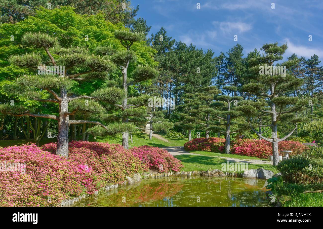 Japanese Garden in public Nordpark,Duesseldorf,North Rhine Westphalia ...
