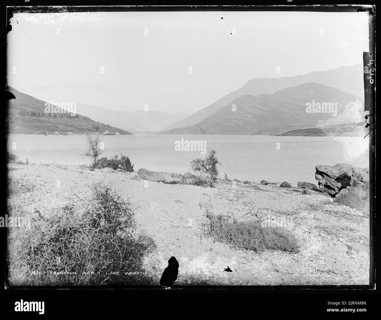 Frankton arm Black and White Stock Photos & Images - Alamy