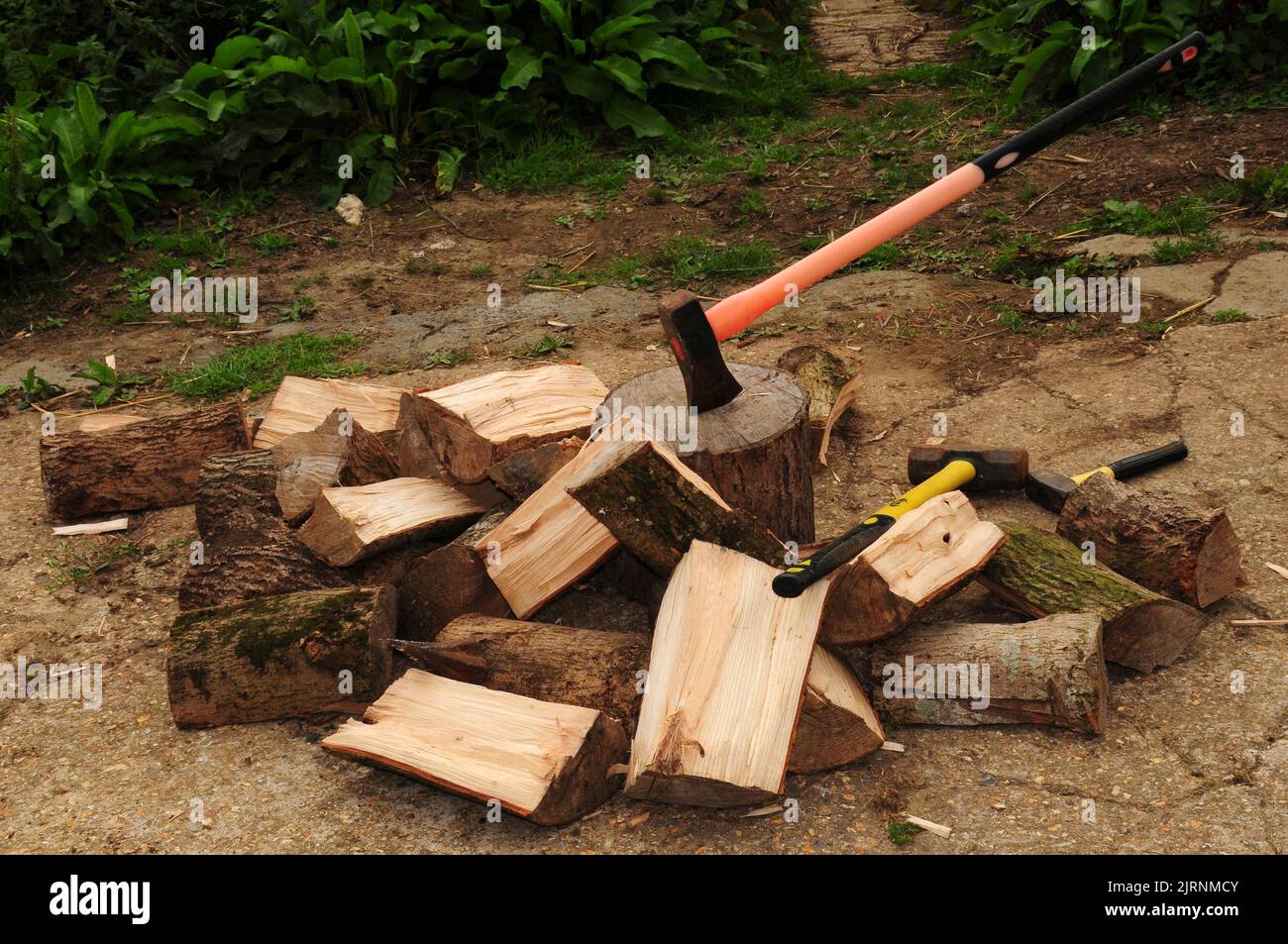 Splitting logs in readiness for winter Stock Photo - Alamy