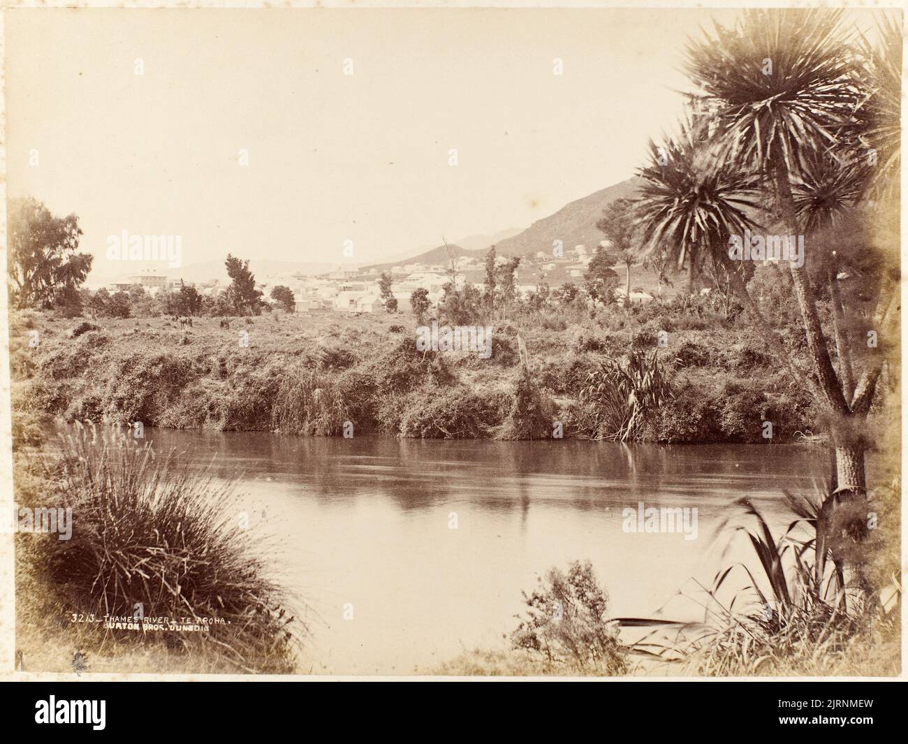 Thames River - Te Aroha. From the album: Views of New Zealand Scenery ...