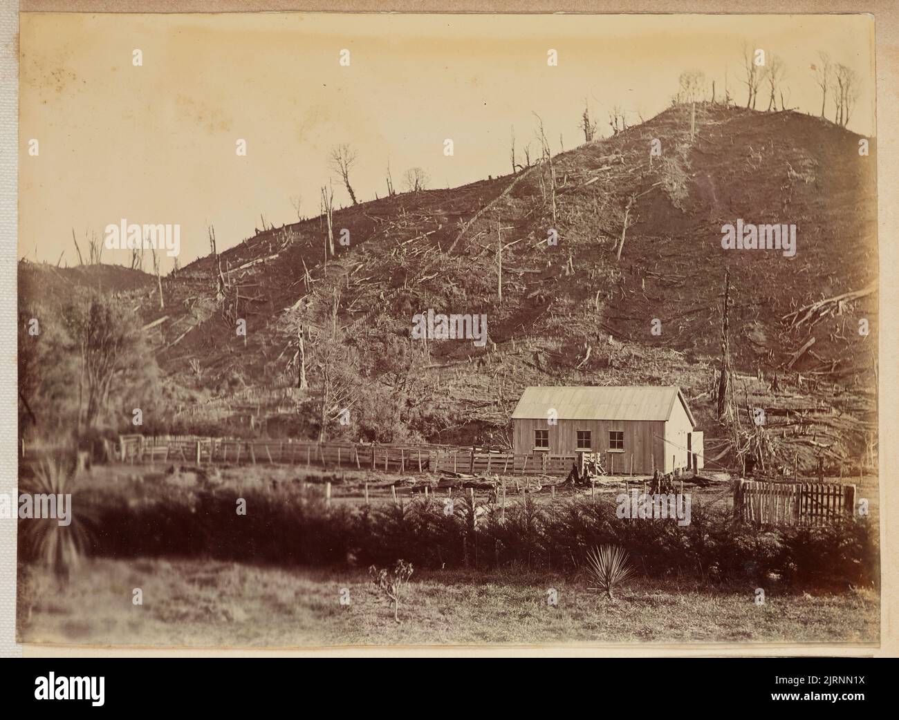 Farm building. From the album: Snapshot album - Ruatea, circa 1900, Manawat River, maker unknown ...