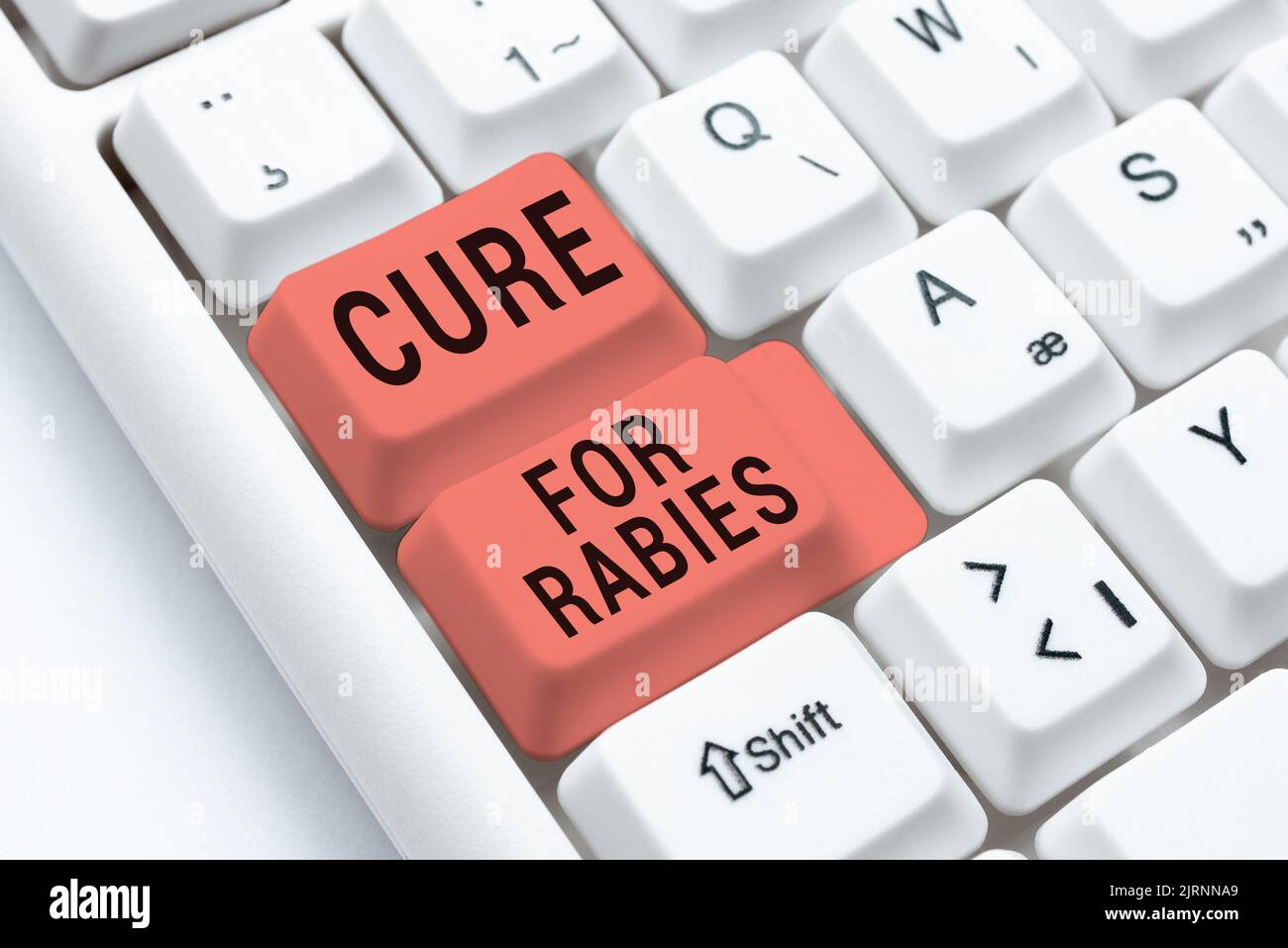 Inspiration showing sign Cure For Rabies. Business showcase Vaccination ...