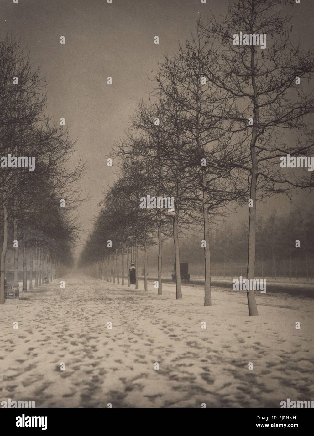 The Mall in winter, 1920s, London, by Harry Moult Stock Photo - Alamy