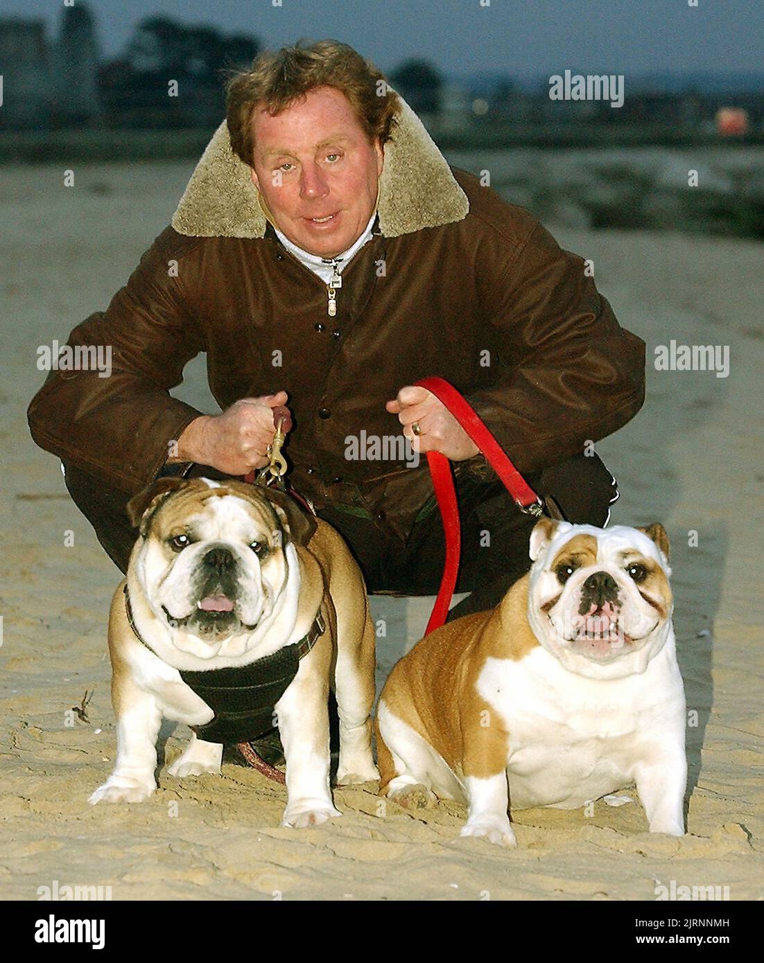 SOUTHAMPTON MANAGER HARRY REDKNAPP WITH HIS BULLDOGS ROSIE AND BUSTER ...