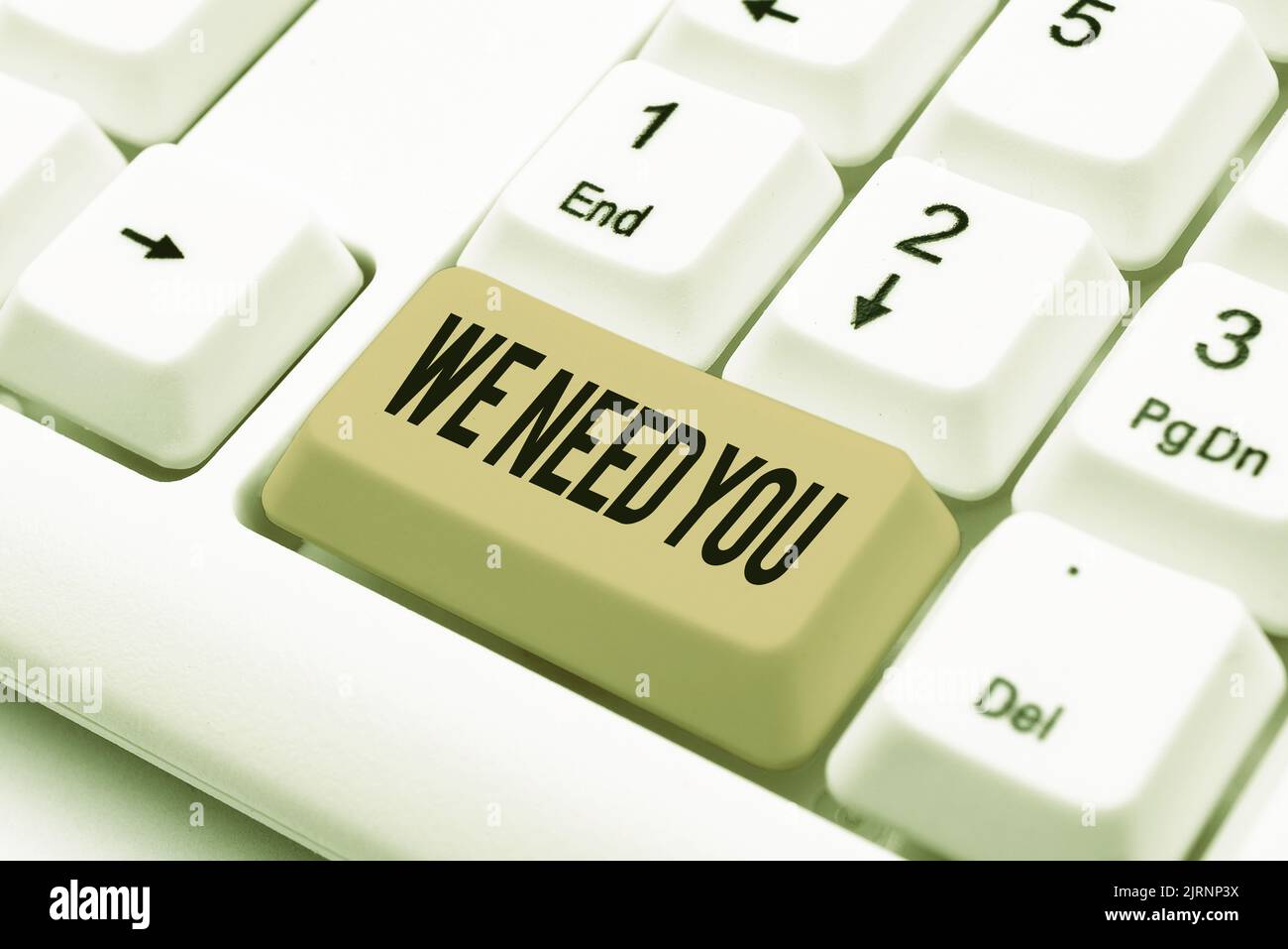 Conceptual caption We Need You. Word for Company wants to recruit ...