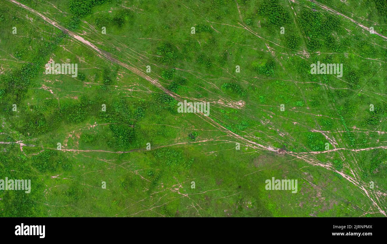 Aerial view of green pasture on a sunny day. Beautiful green area of ...