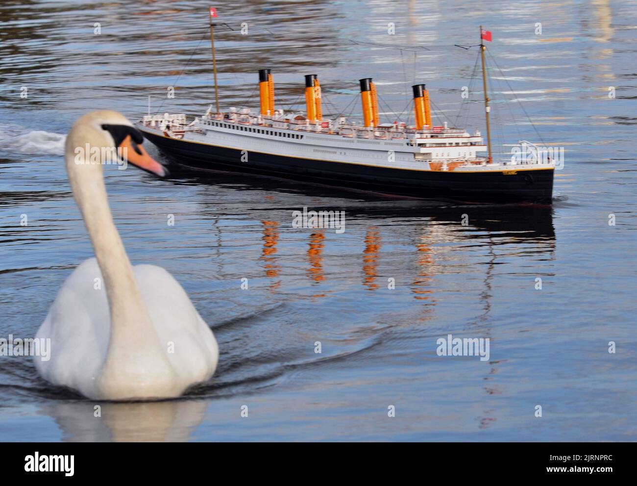 The only danger to Titanic on her maiden voyage was swans not icebergs ...