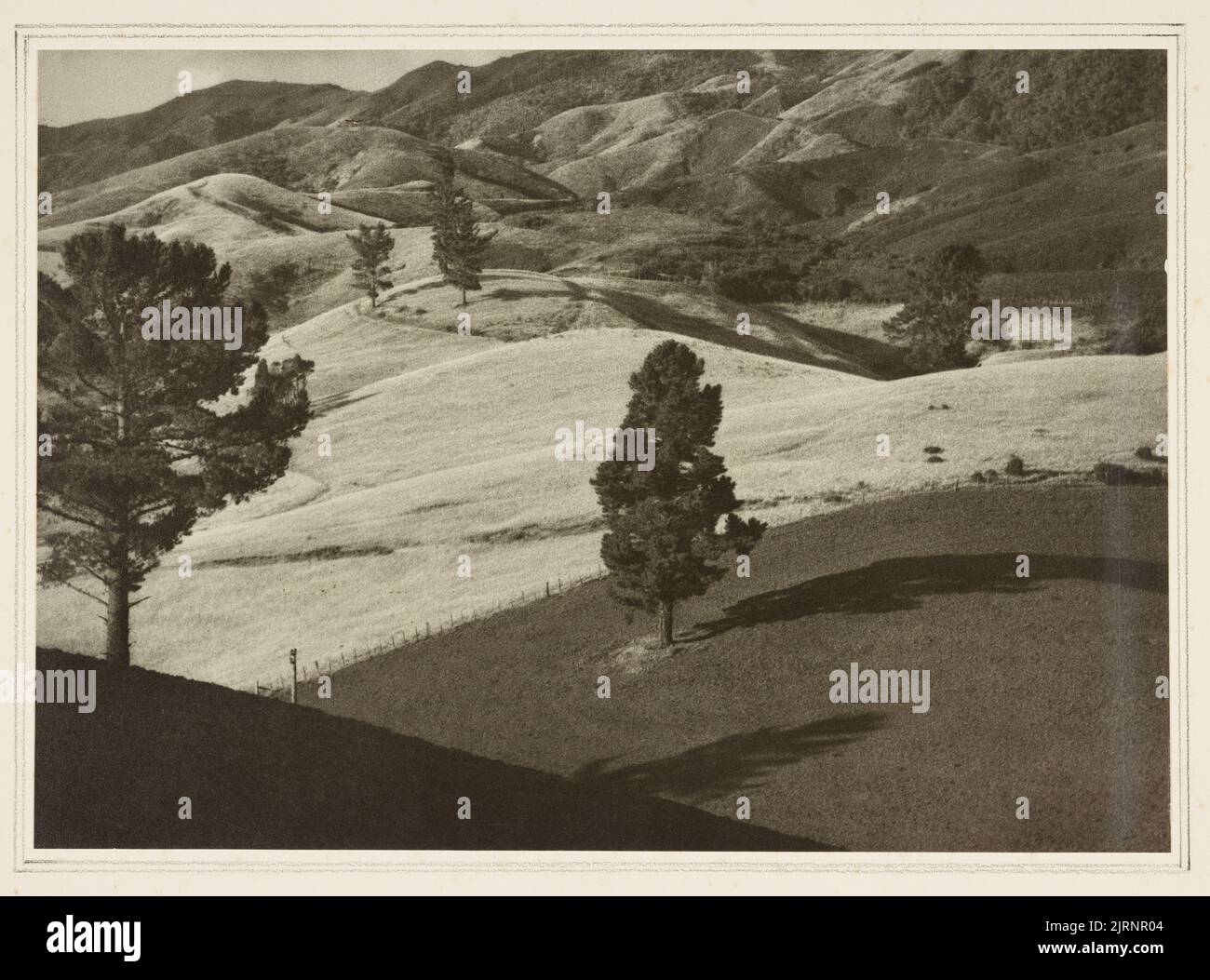 Untitled [pasture landscape], circa 1940s, by H. Farmer McDonald. Gift ...