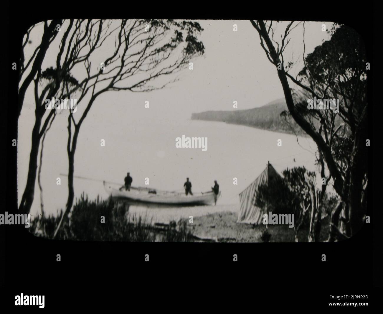 New Zealand Landscape Scene : Carnley Harbour, November 1907, New ...