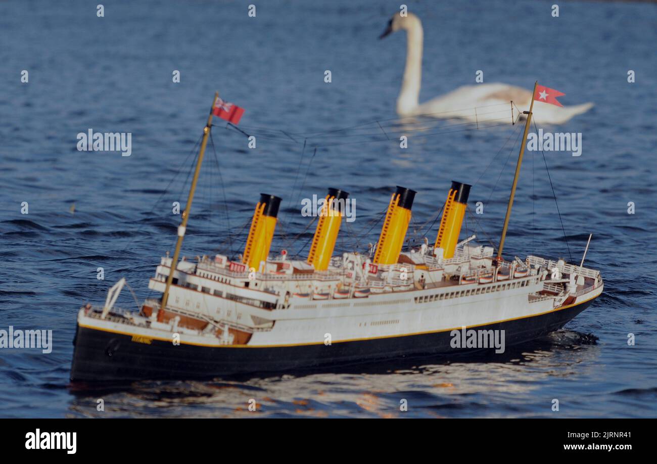 The only danger to Titanic on her maiden voyage was swans not icebergs ...