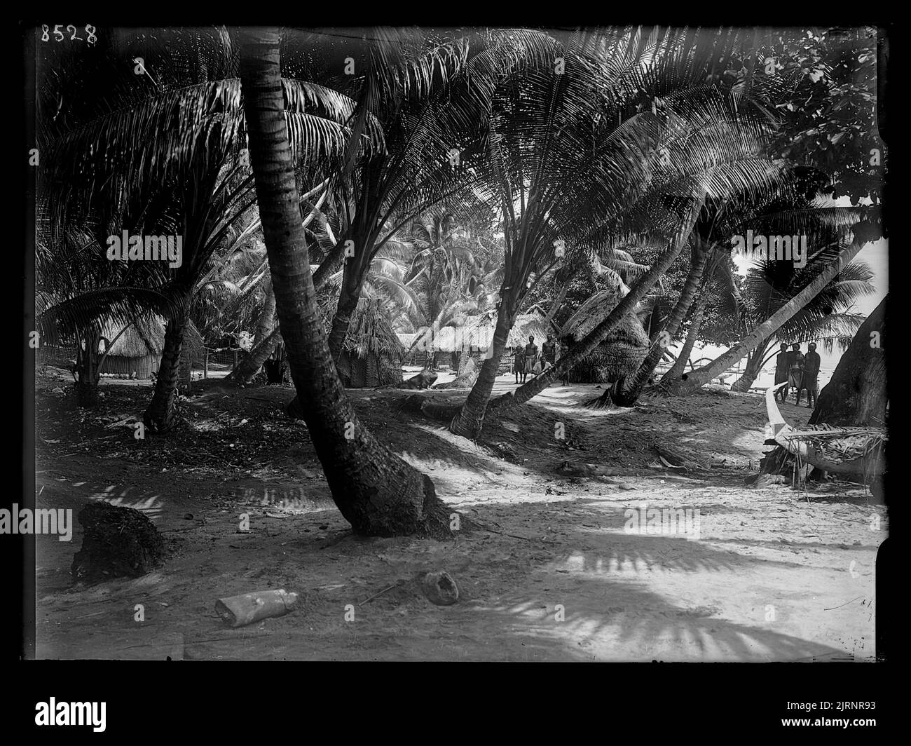 Makada nagaila hi-res stock photography and images - Alamy