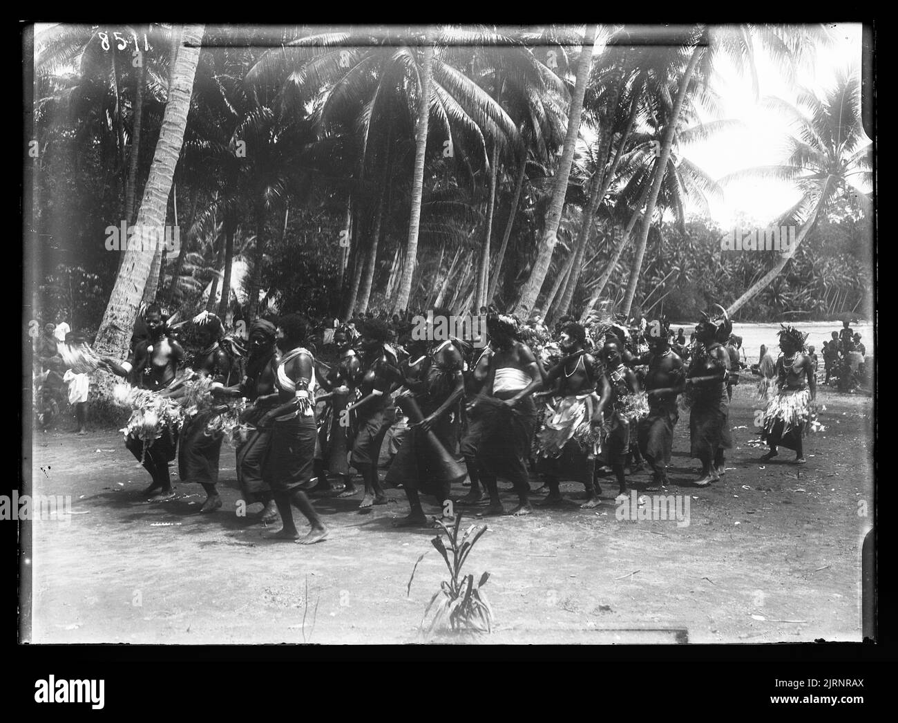 Melanesian Women's Dance - Molot Stock Photo - Alamy